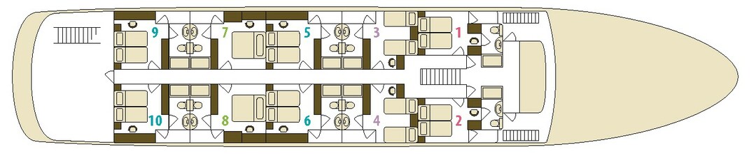 Cruise Ship